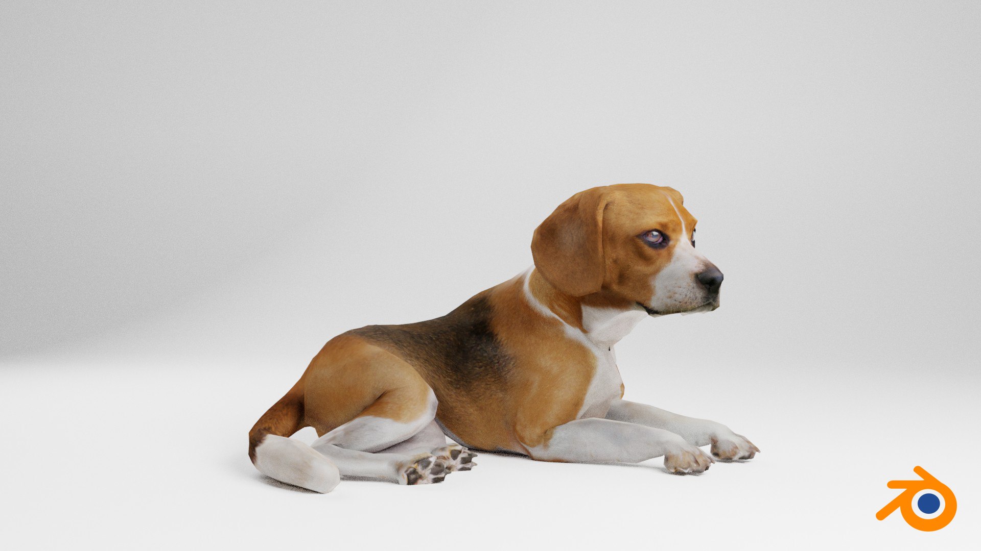 Beagle 3D Model - TurboSquid 1765910