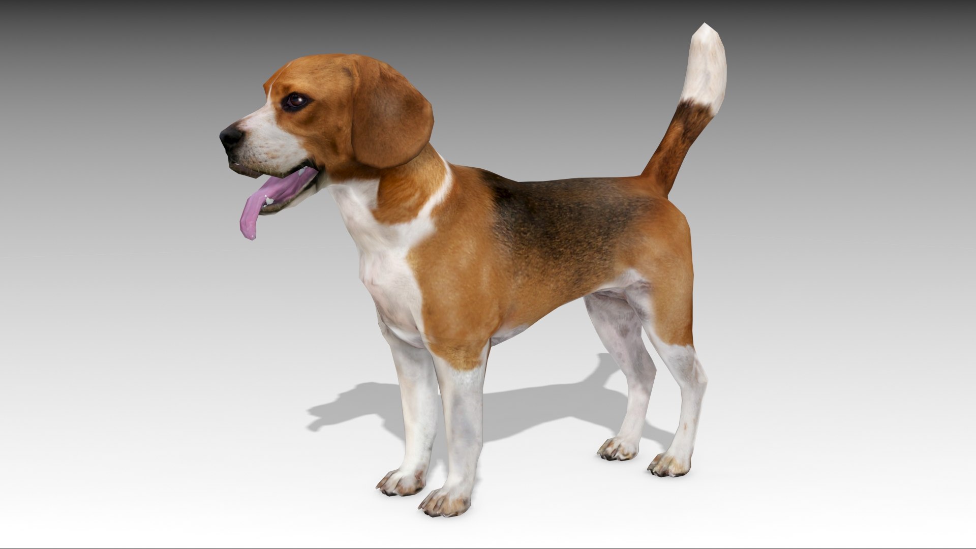 Beagle 3D Model - TurboSquid 1765910