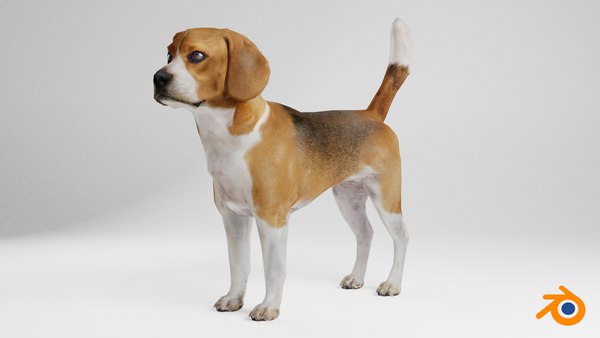 Beagle 3D model - TurboSquid 1765910