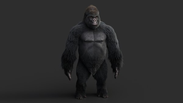 modelo 3d GORILLA RIG XGEN-CORE - TurboSquid 1660418