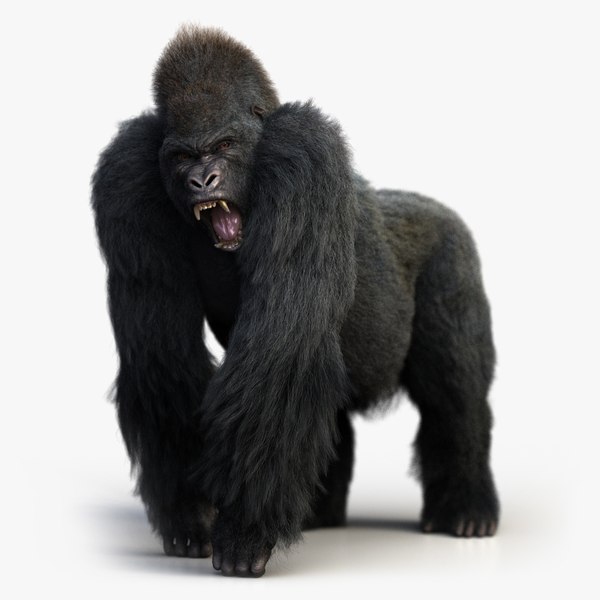 Gorilla 3D Models for Download | TurboSquid
