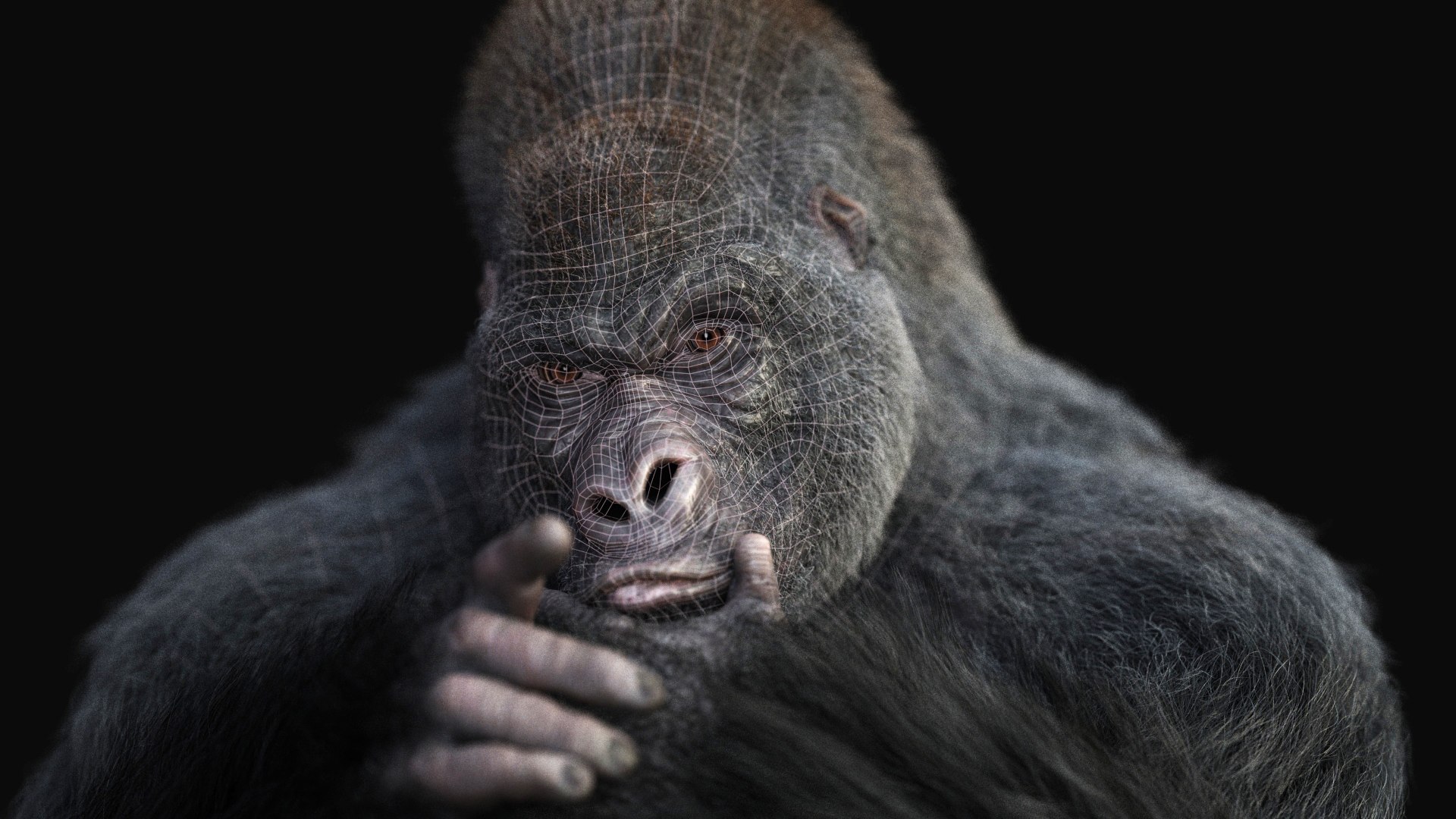 Gorilla Rig Xgen-core Model - TurboSquid 1660418