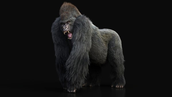 modelo 3d GORILLA RIG XGEN-CORE - TurboSquid 1660418