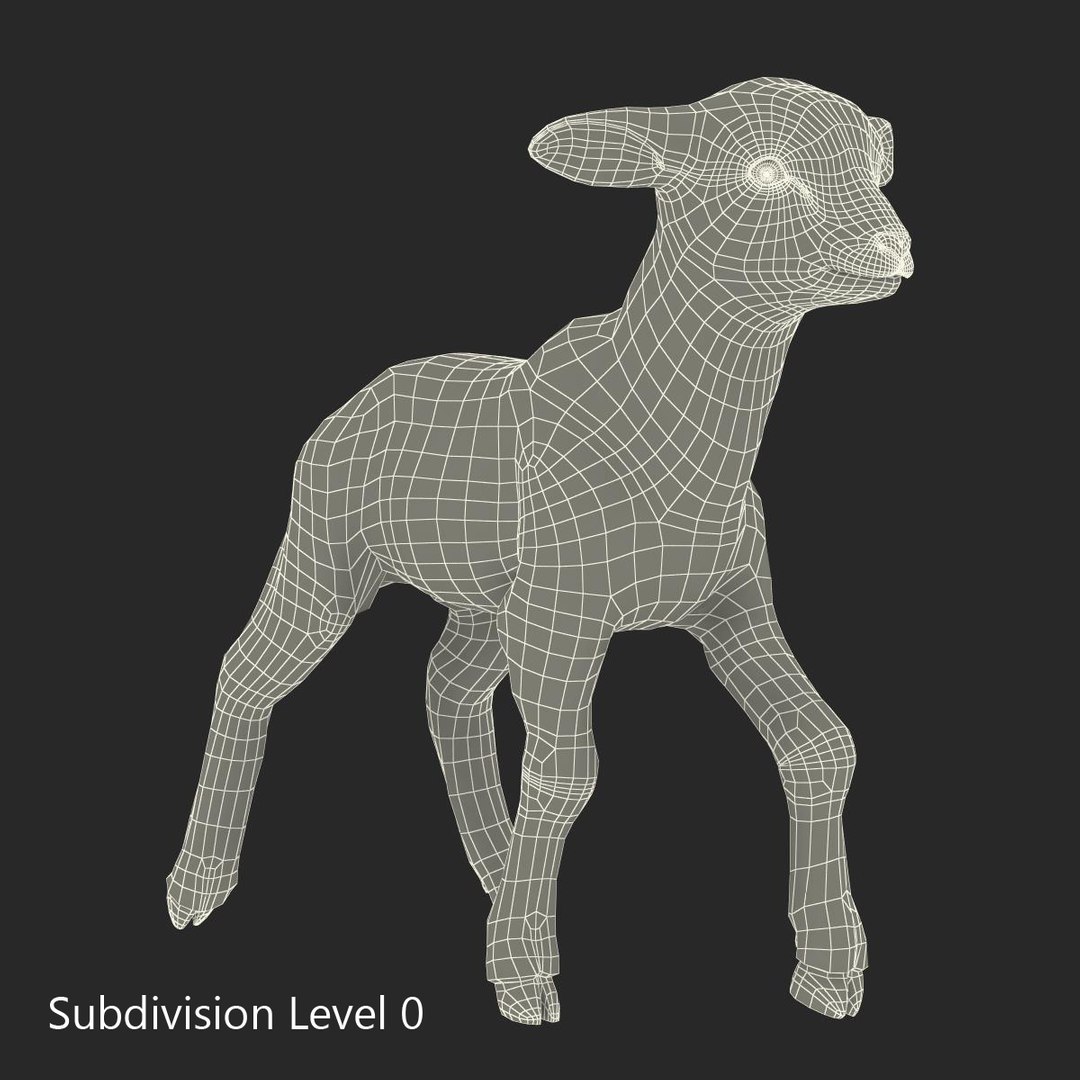 lamb pose 2 3d model