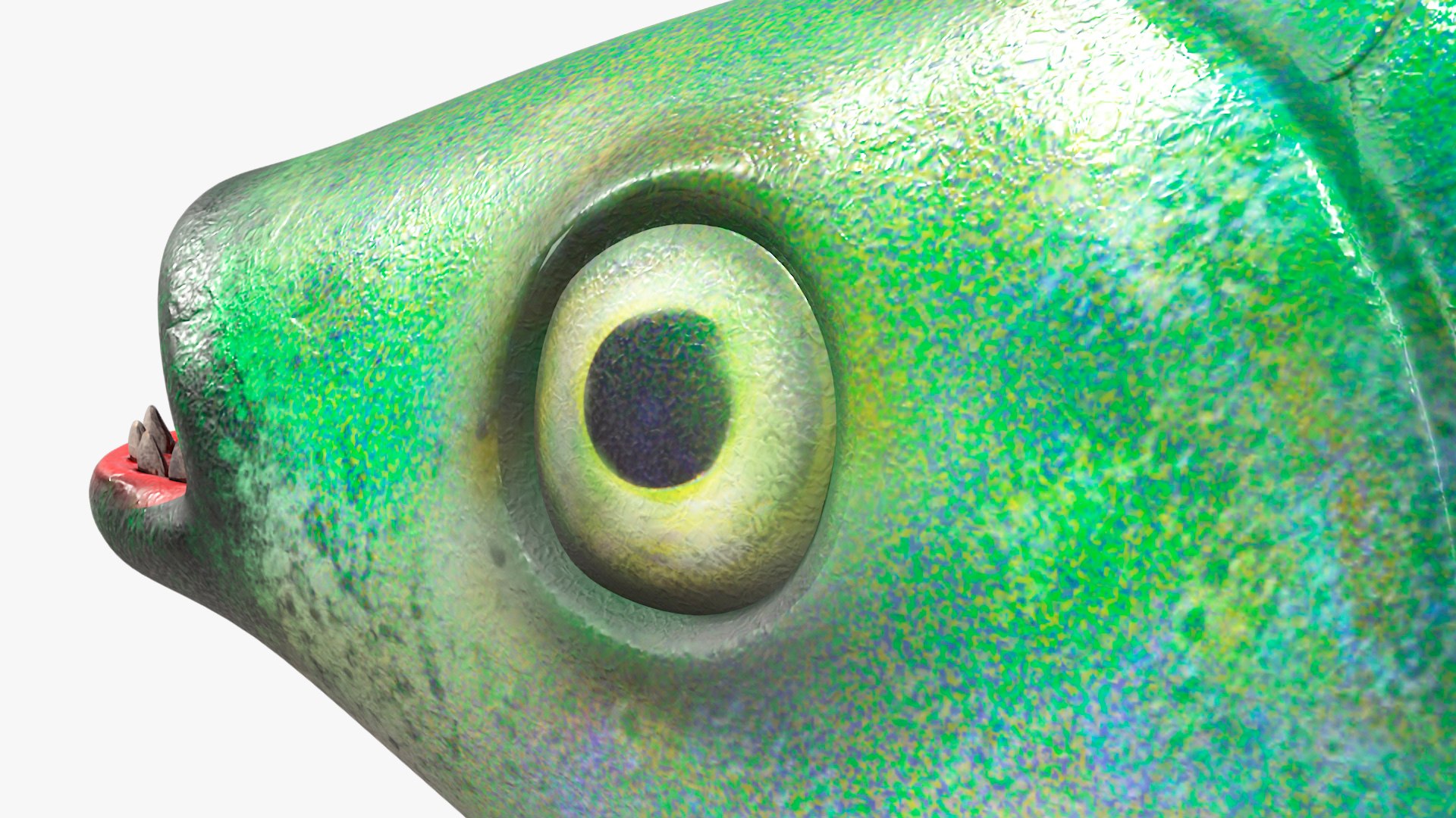 Guppy Fish Red Dragon 3D Model - TurboSquid 2269738