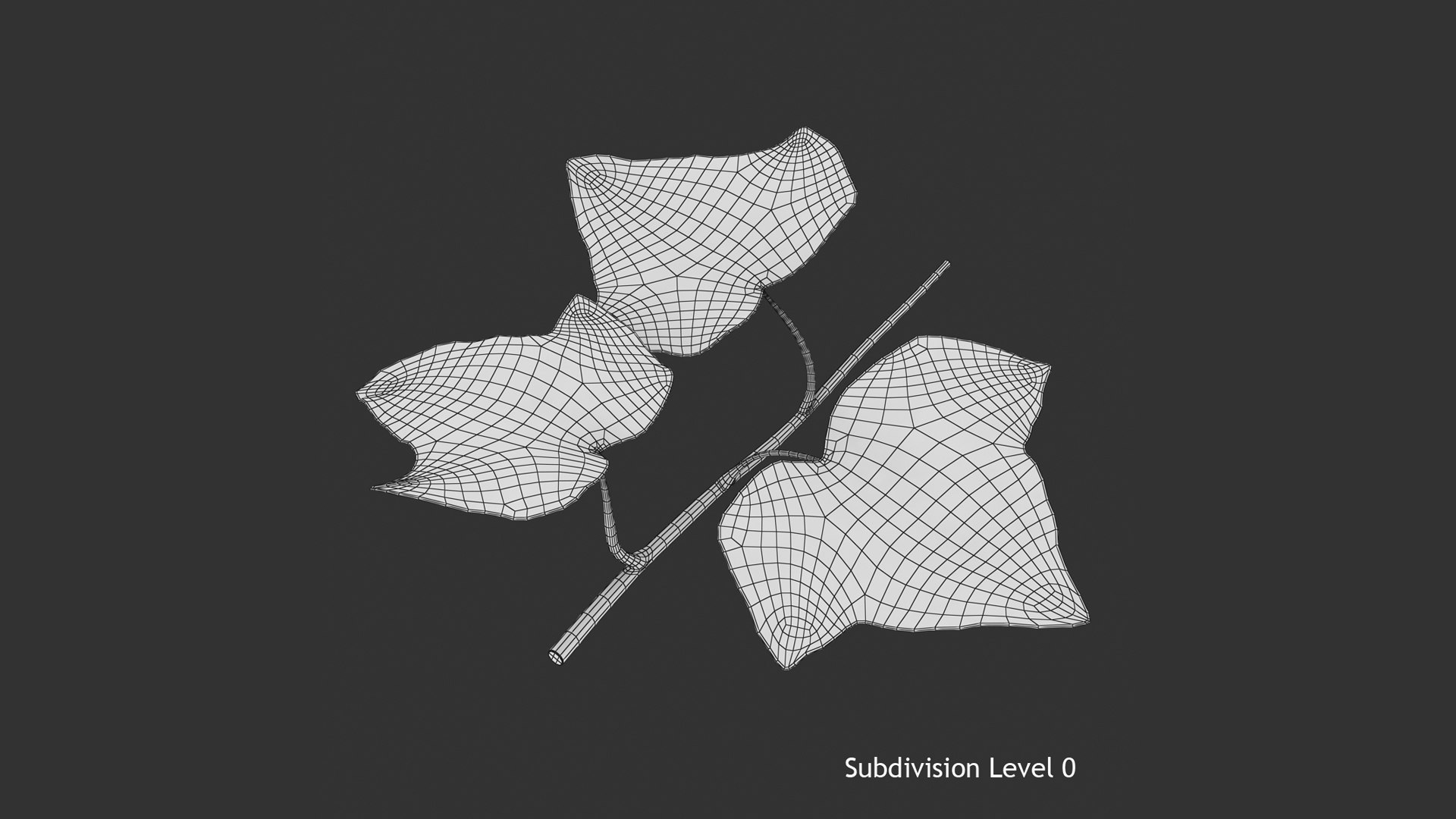 Ivy Leaf 3d Model