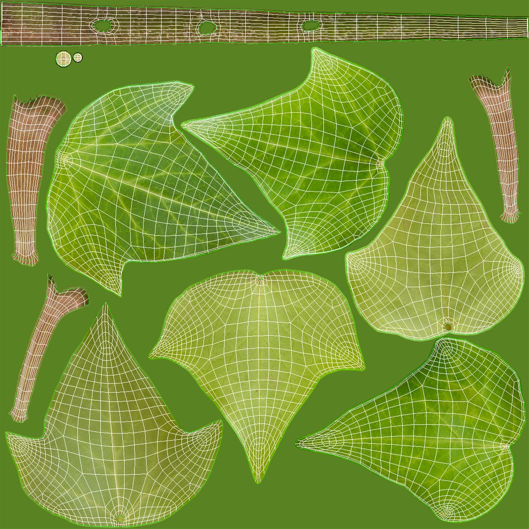 Ivy Leaf 3d Model