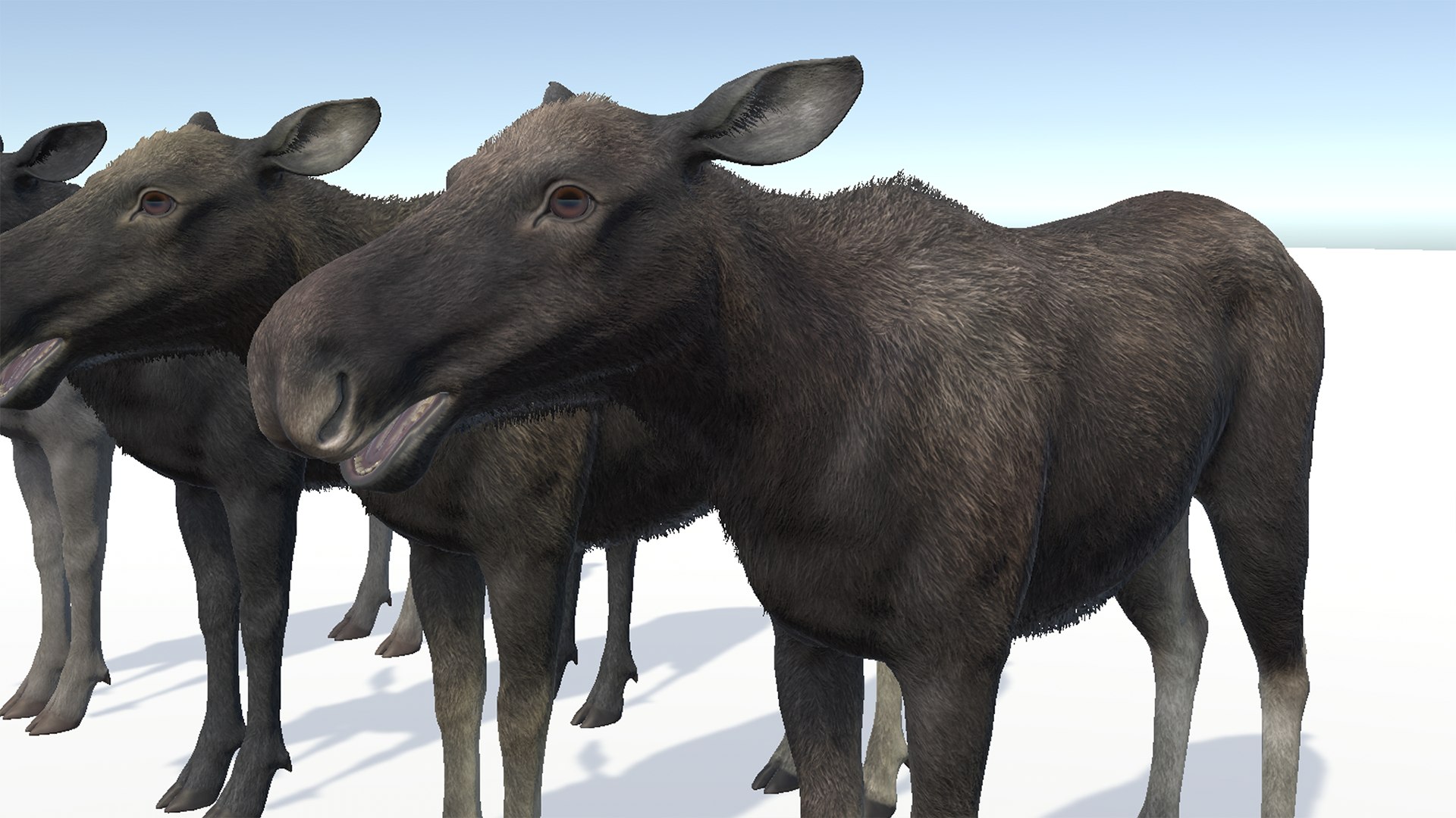 3D Moose - Cow Model - TurboSquid 2136066