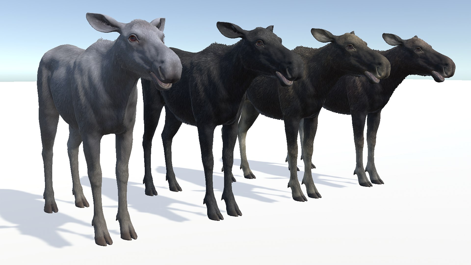 3D Moose - Cow Model - TurboSquid 2136066