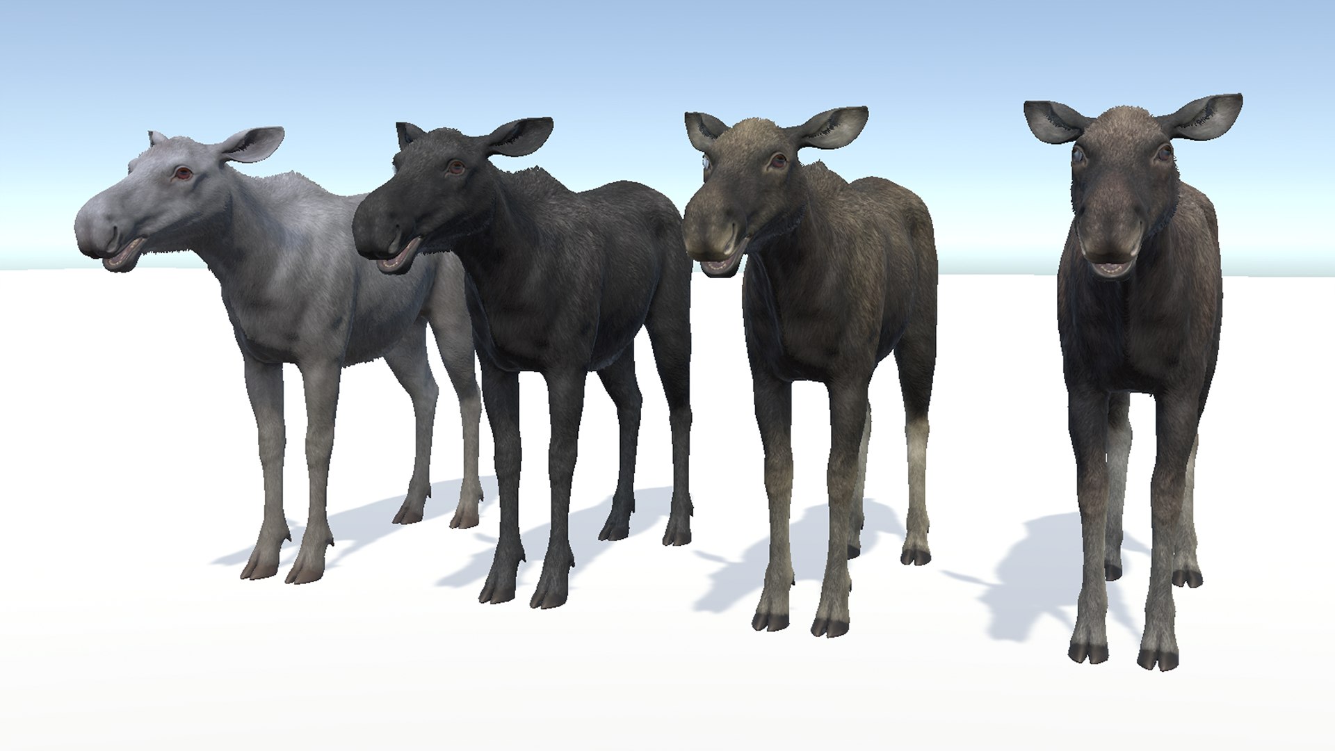 3D Moose - Cow Model - TurboSquid 2136066