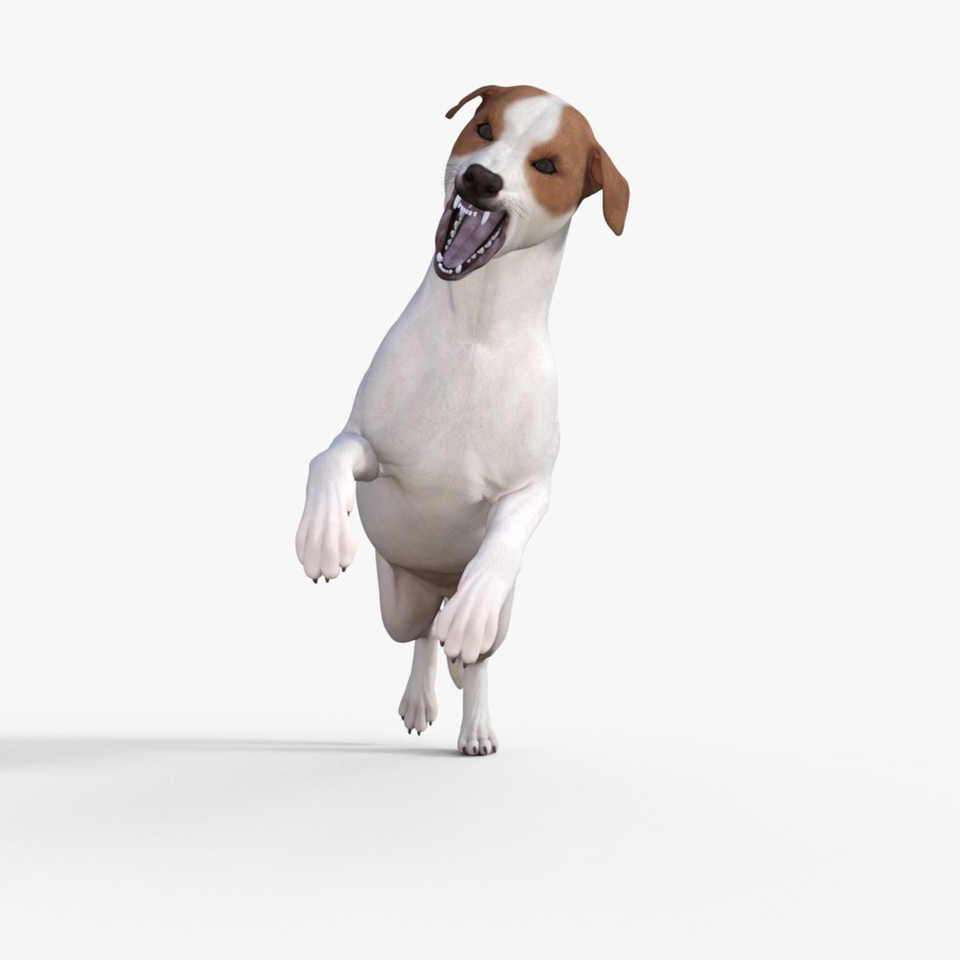 3D Street Dog Rigged - TurboSquid 2180124