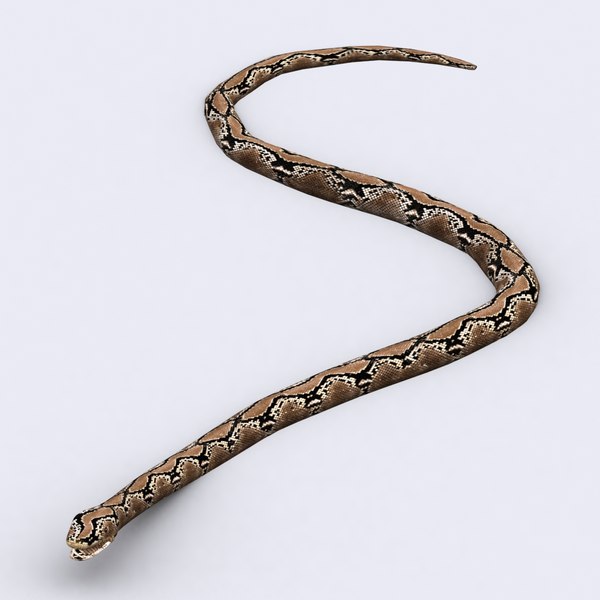 modèle 3D de 3DRT- Serpent - TurboSquid 912684