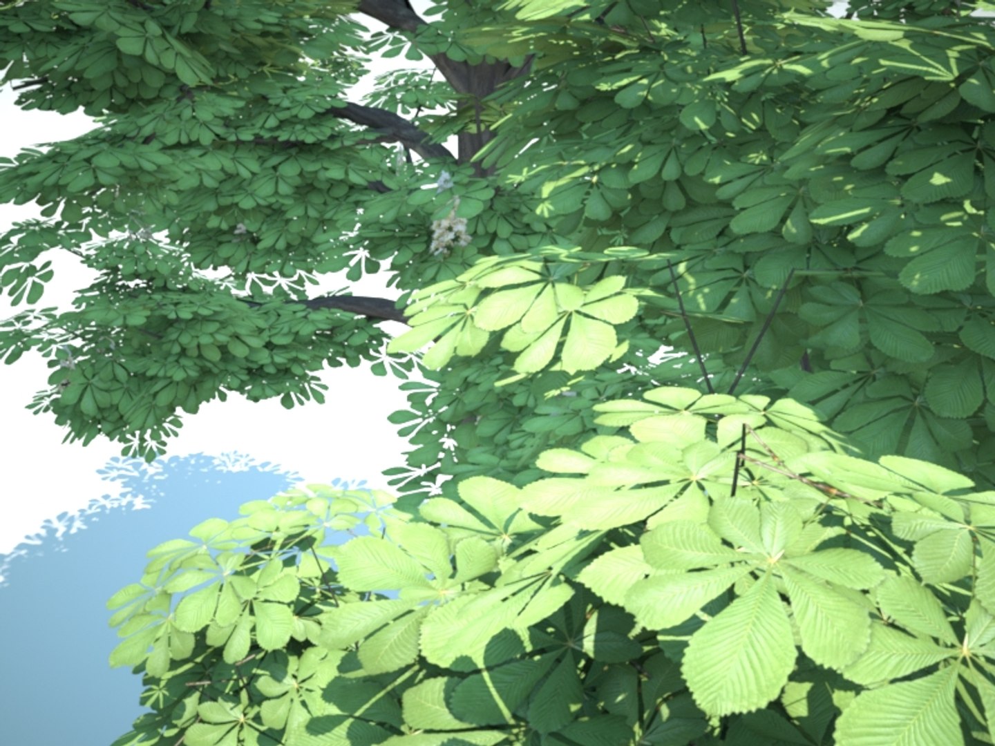 3ds Max Trees Arch Gpu