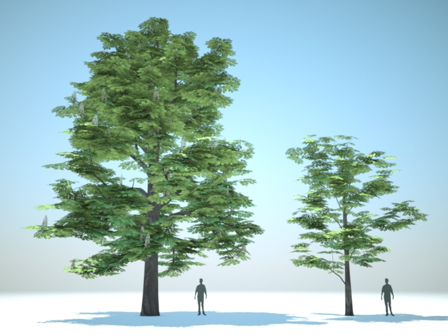 3ds Max Trees Arch Gpu
