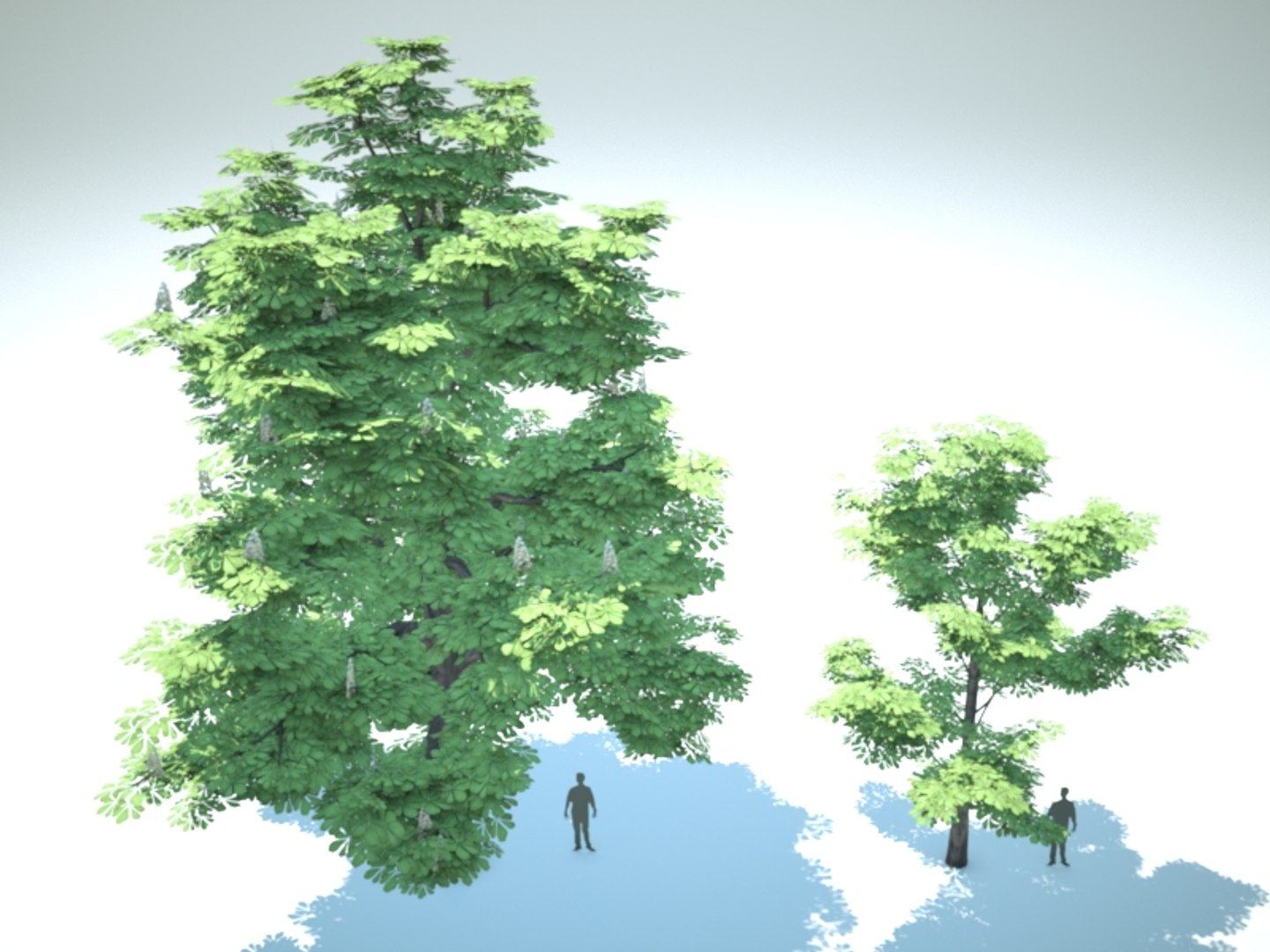 3ds Max Trees Arch Gpu