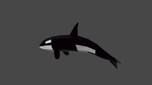 3D Low Poly Orca - TurboSquid 1876391