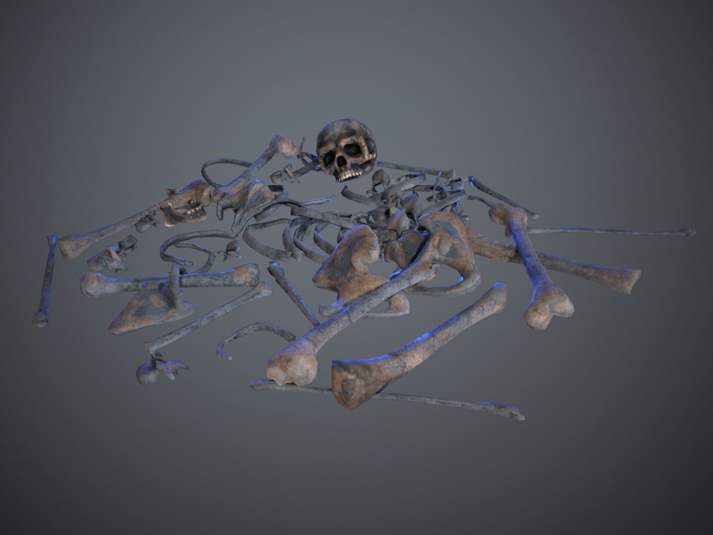 Skulls1 Alien Bones 3D Model - TurboSquid 1488305