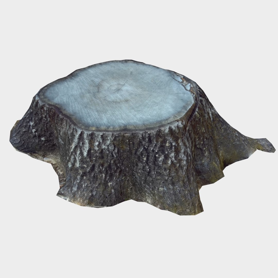 Tree Stump 3D Model - TurboSquid 1289138