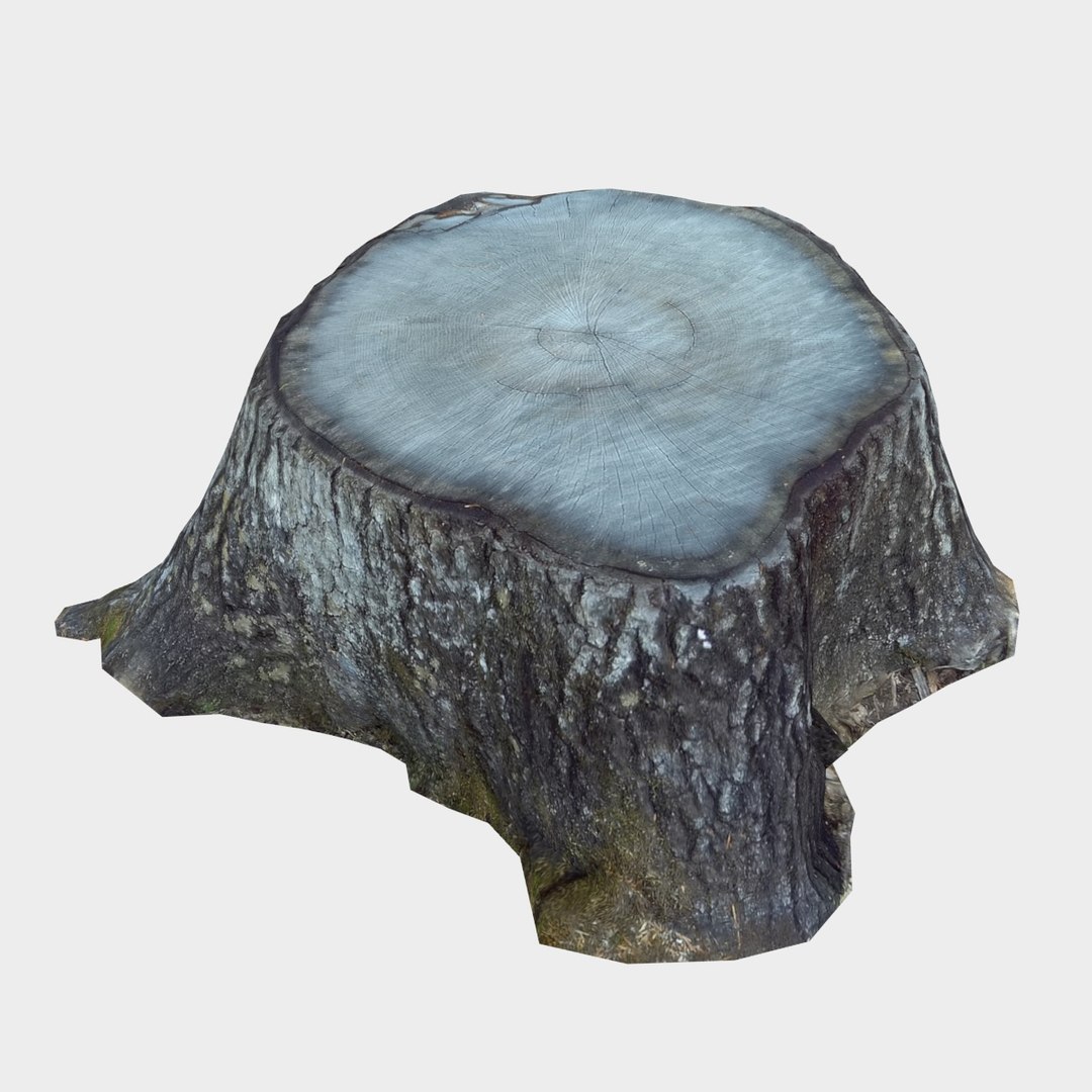 Tree Stump 3D Model - TurboSquid 1289138