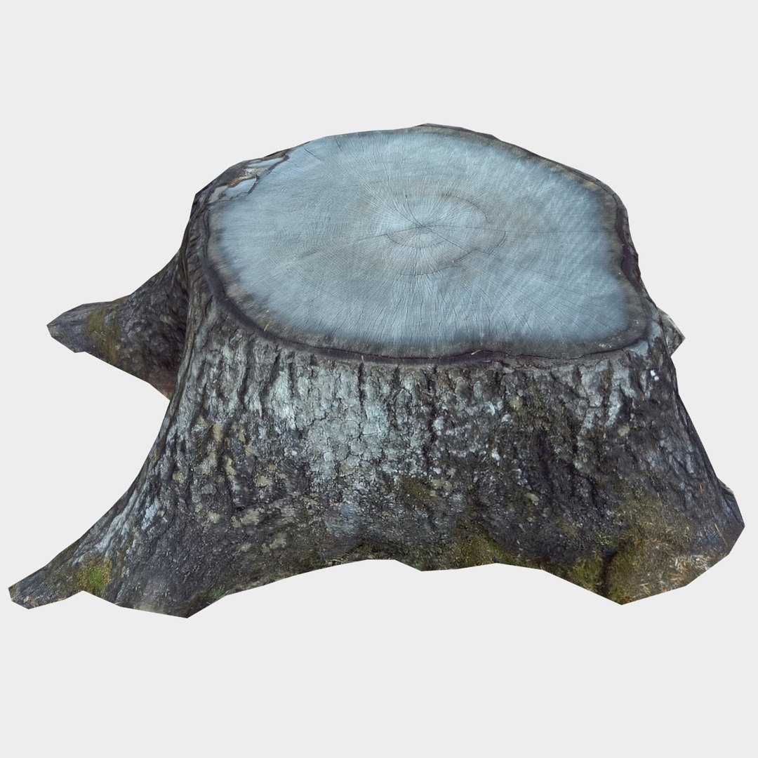 Tree Stump 3D Model - TurboSquid 1289138