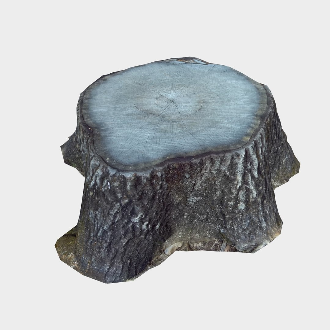 Tree Stump 3D Model - TurboSquid 1289138