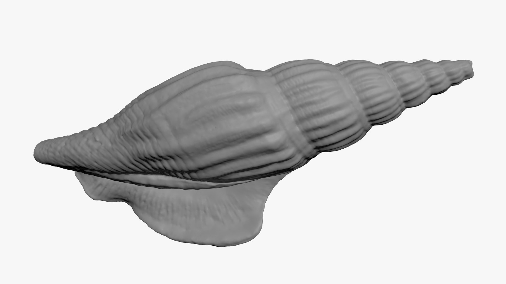 3D Model Doxander Vittatus For 3D Print - TurboSquid 2362100