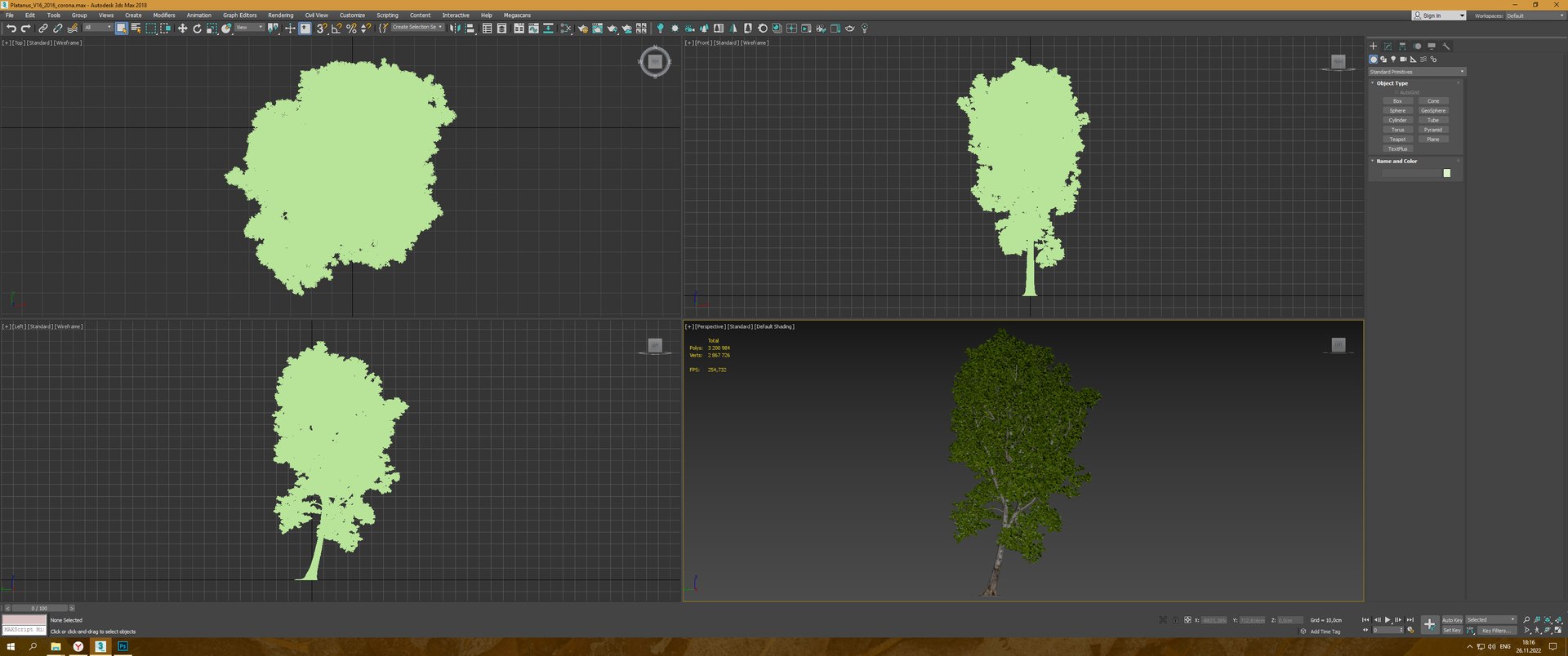 Plane-tree Sycamore Platanus V16 3D - TurboSquid 1993580