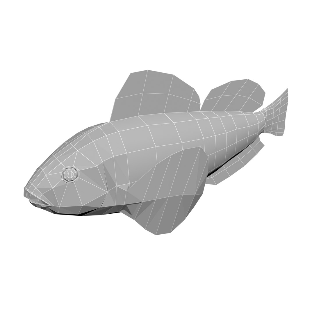 Rasp fish 3D model - TurboSquid 1368472