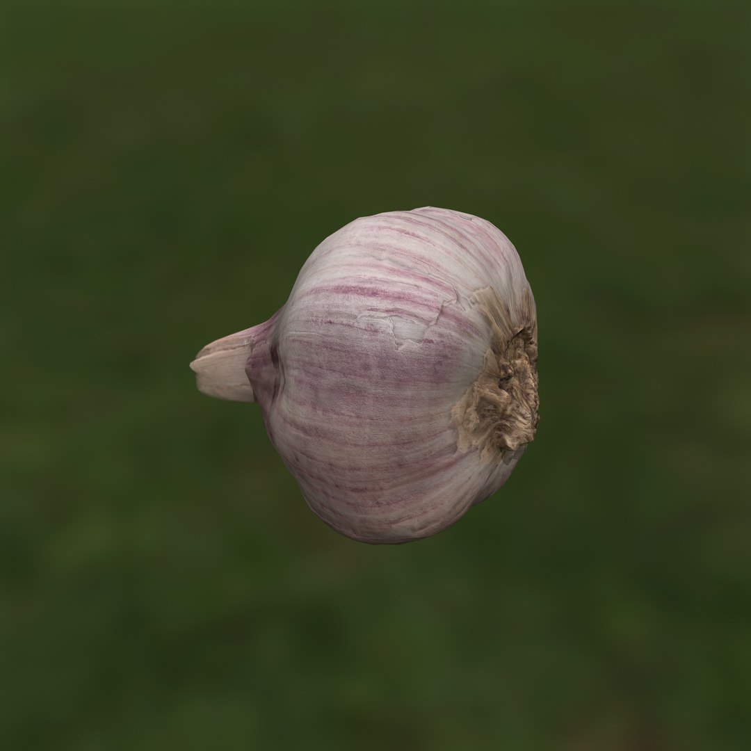 3D Model Realistic Garlic - TurboSquid 1545672