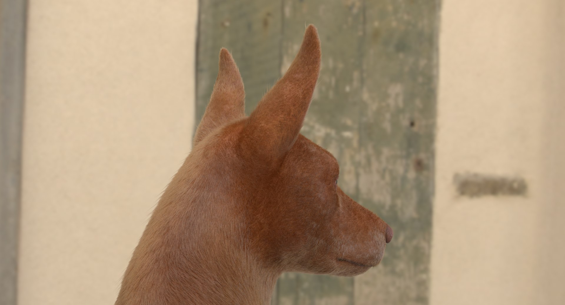 3D Arnold Pharaoh Hound Rigging Model - TurboSquid 1296906