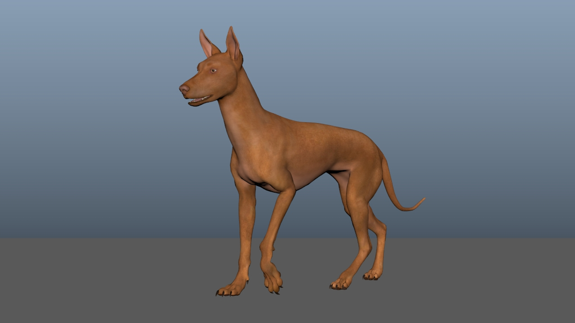 3D Arnold Pharaoh Hound Rigging Model - TurboSquid 1296906