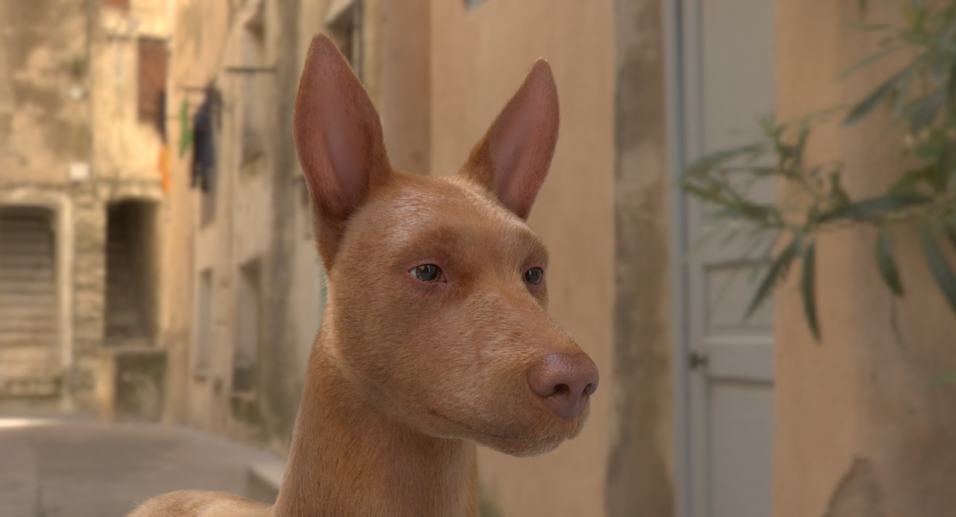 3D Arnold Pharaoh Hound Rigging Model - TurboSquid 1296906