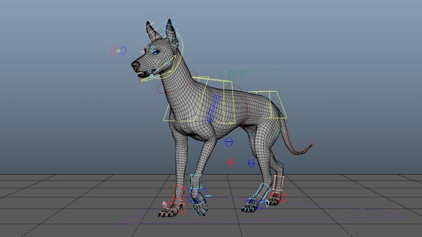 3D arnold pharaoh hound rigging model - TurboSquid 1296906