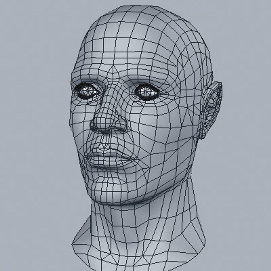 skull head 3d model
