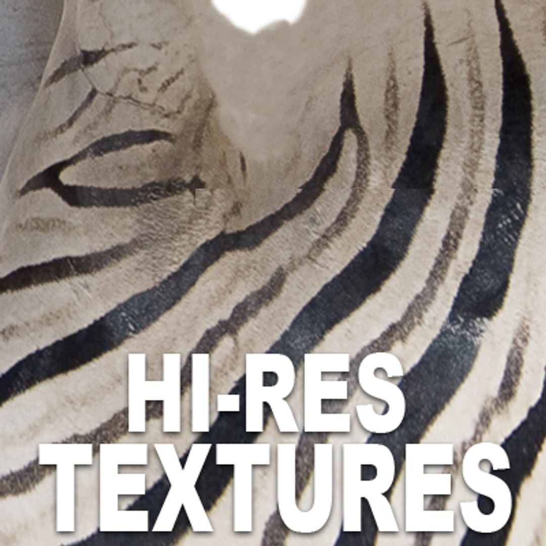 3d Zebra Rigged Model