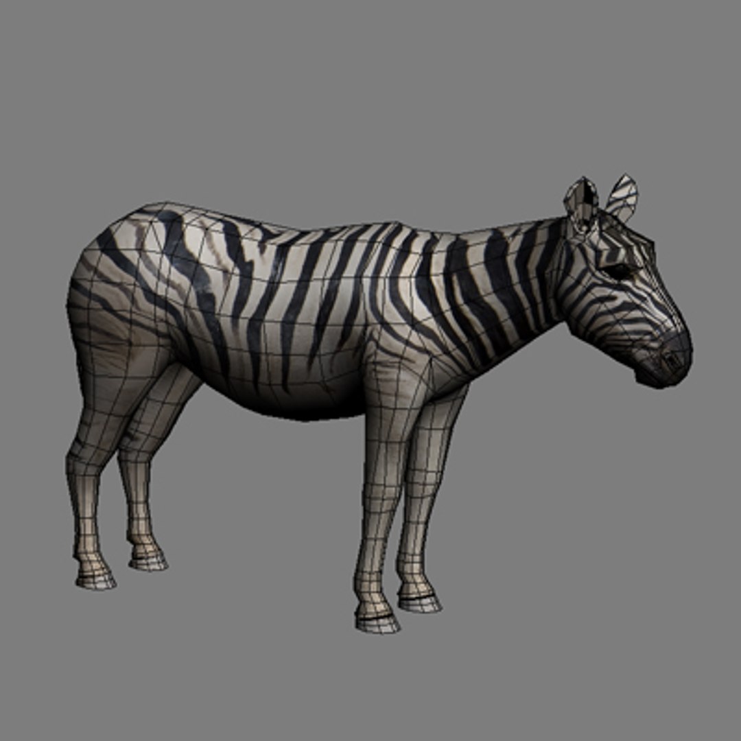 3d Zebra Rigged Model