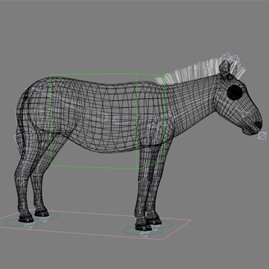 3d Zebra Rigged Model