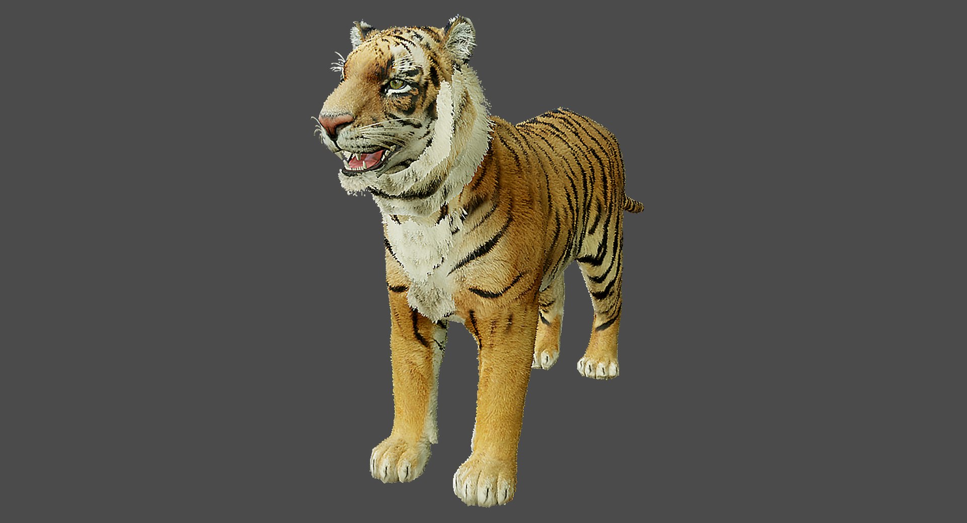 Realistic Tiger 3d Model