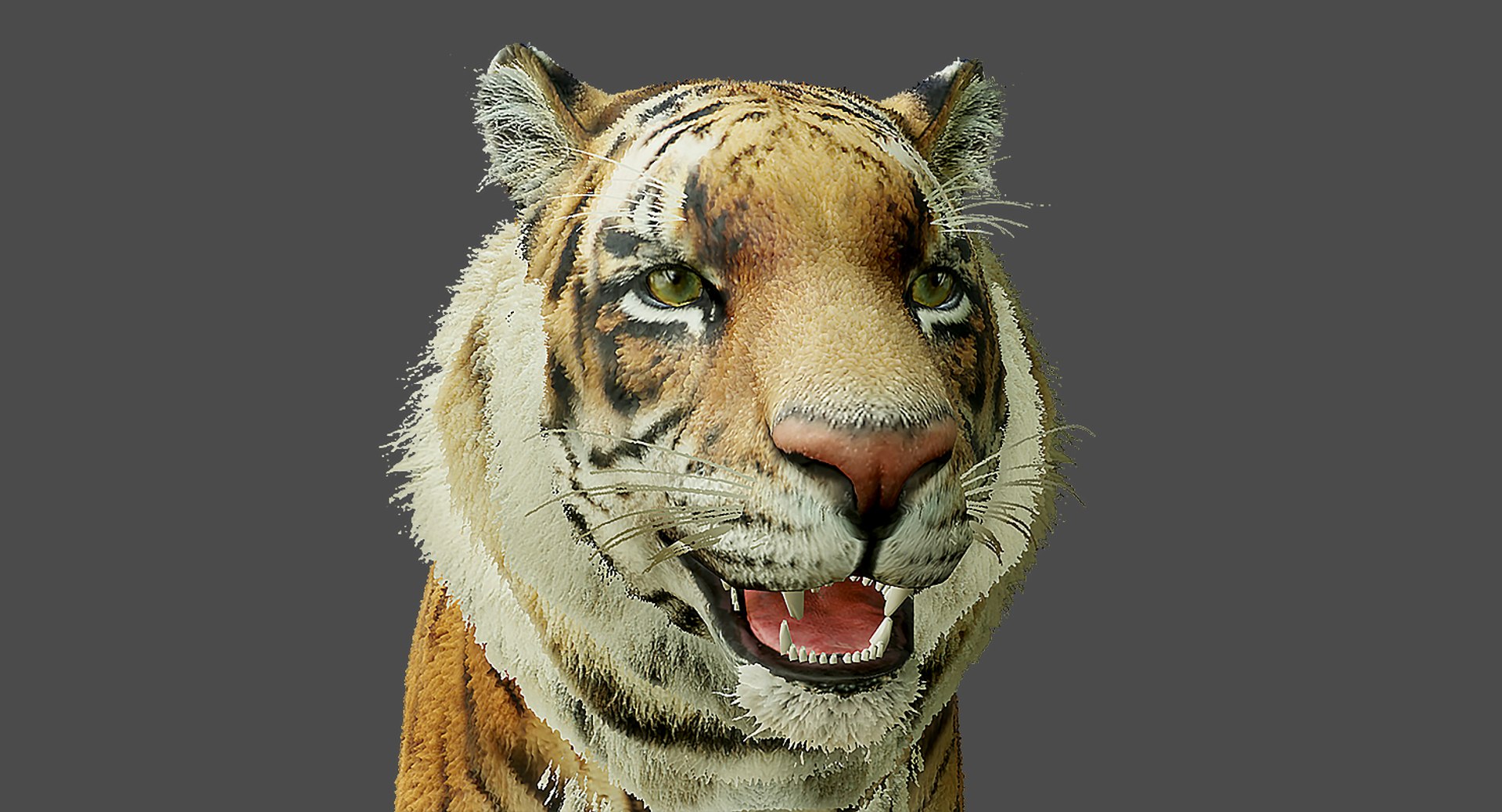 Realistic Tiger 3d Model