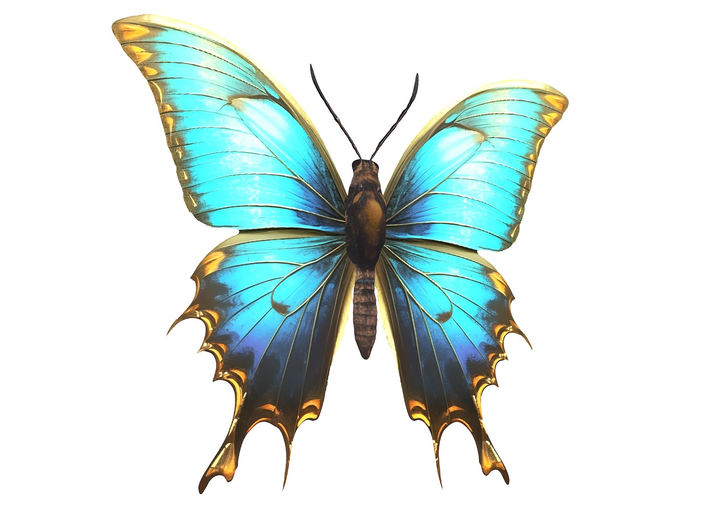 3D Butterflies Pack - TurboSquid 2151183