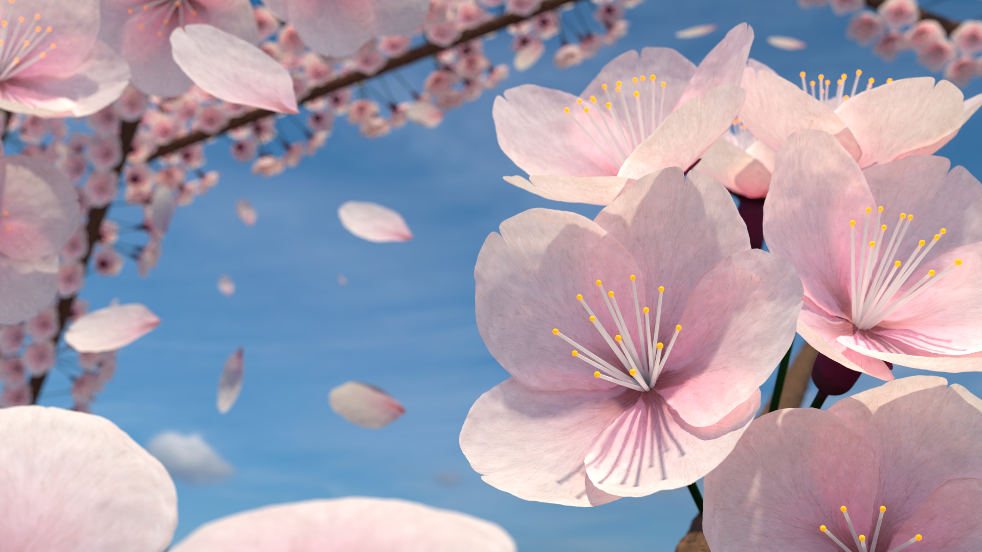 Cherry Blossoms 3D model - TurboSquid 1722044