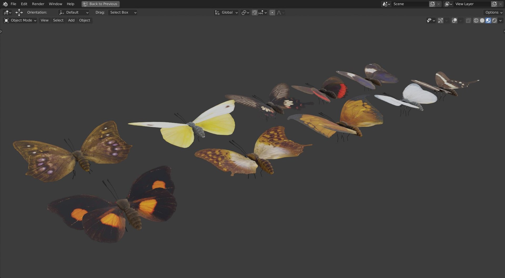 3D Butterfly Collection PBR Rigged Animated - TurboSquid 1782299