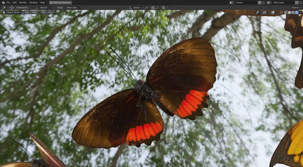 modelo 3d Colección Butterfly PBR Rigged Animado - TurboSquid 1782299