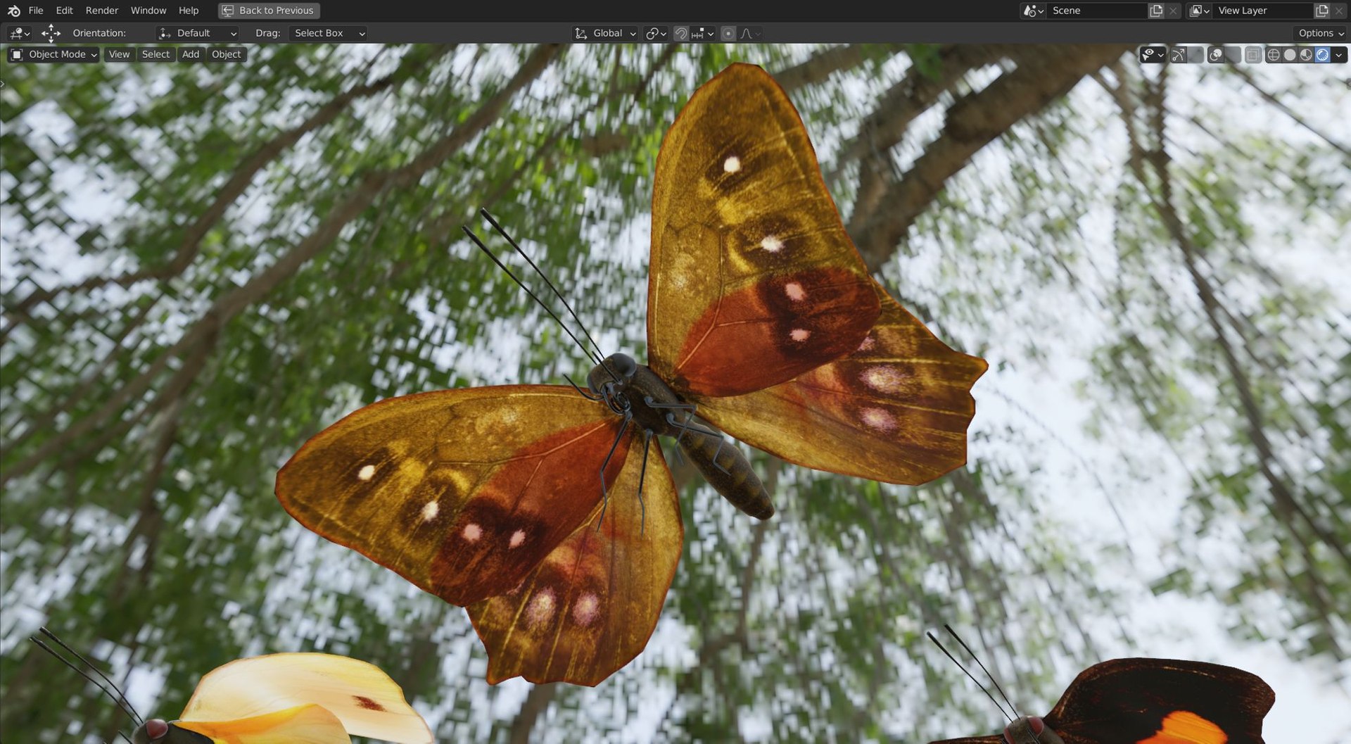 3D Butterfly Collection PBR Rigged Animated - TurboSquid 1782299
