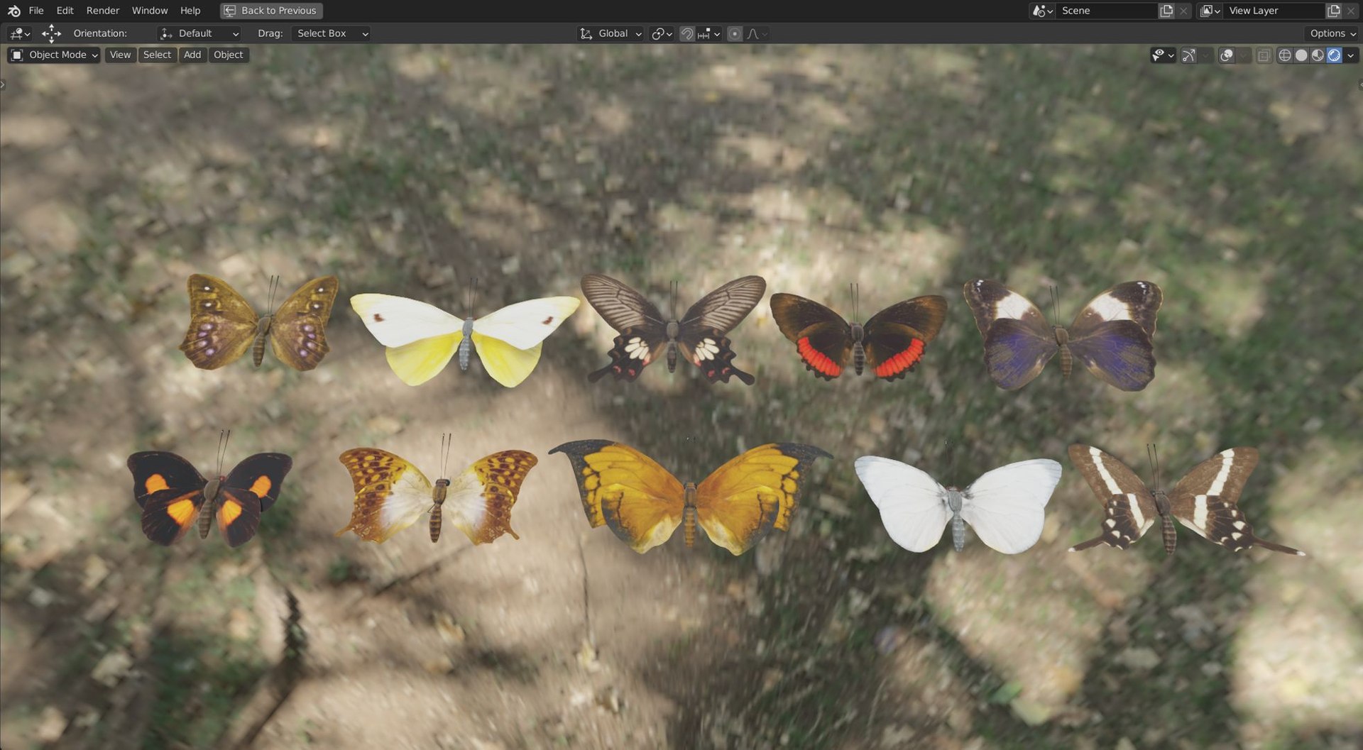 3D Butterfly Collection PBR Rigged Animated - TurboSquid 1782299