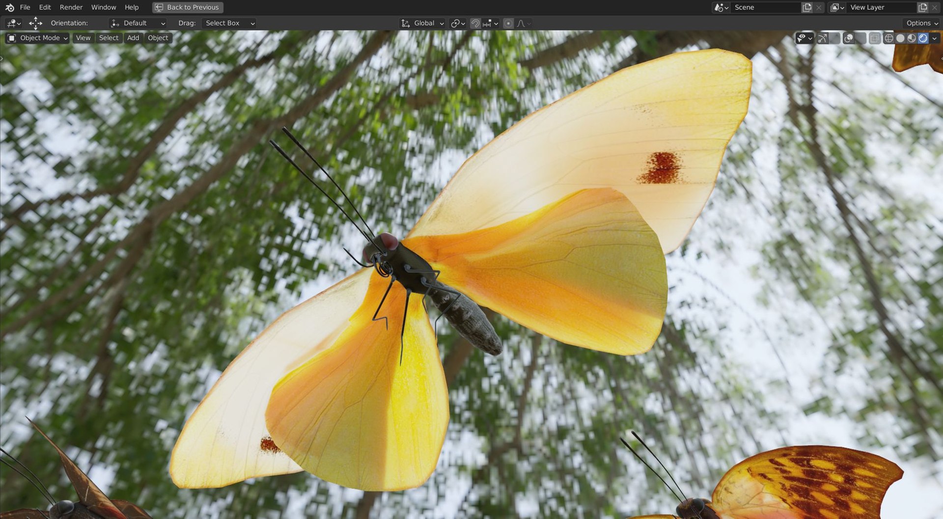 3D Butterfly Collection PBR Rigged Animated - TurboSquid 1782299