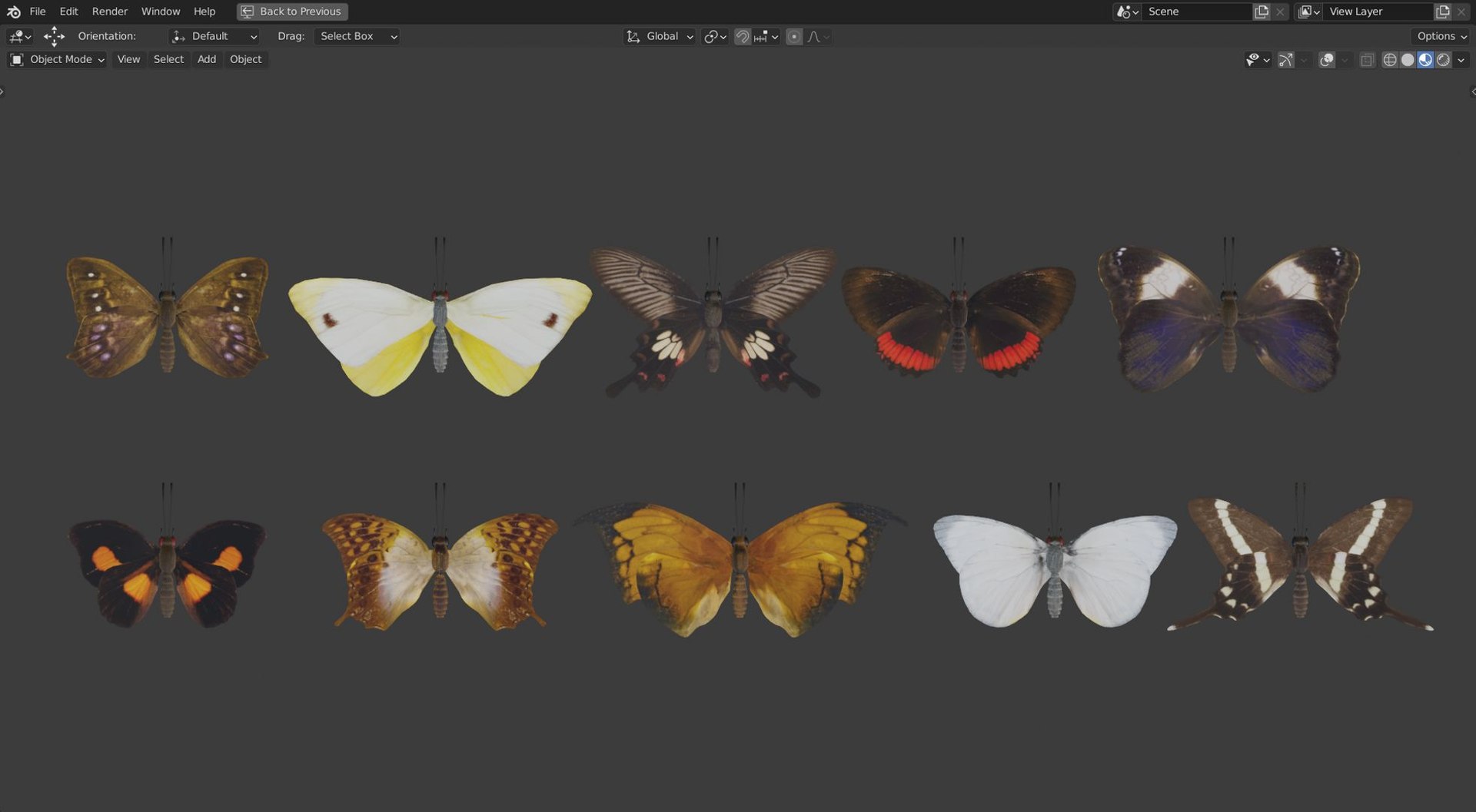3D Butterfly Collection PBR Rigged Animated - TurboSquid 1782299