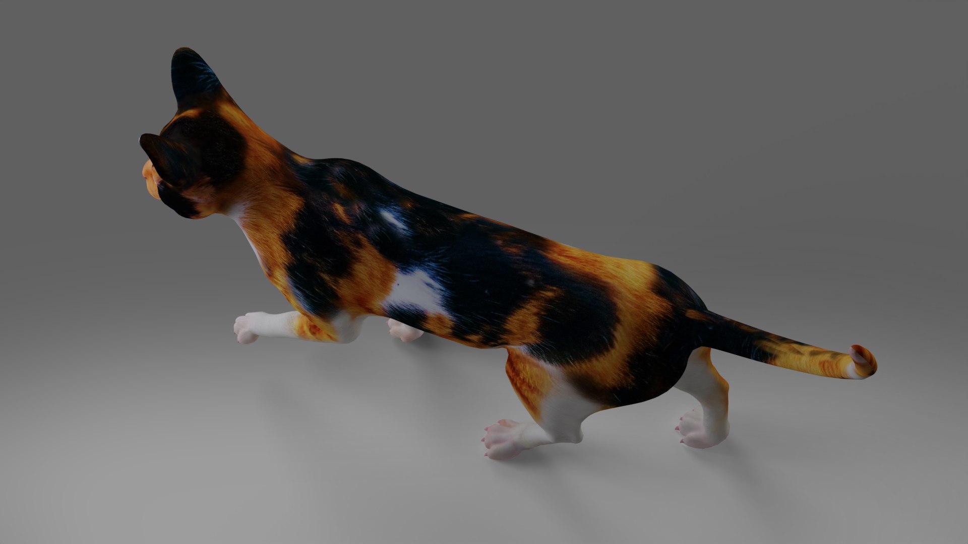 Calico Cat Rigged And Animated V4 In Blender 3D Model - TurboSquid 1985478