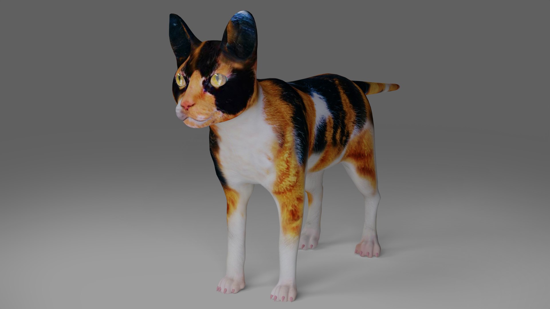 Calico Cat Rigged And Animated V4 In Blender 3D Model - TurboSquid 1985478