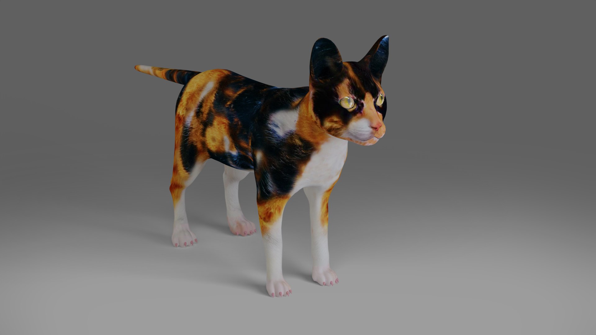 Calico Cat Rigged And Animated V4 In Blender 3D Model - TurboSquid 1985478